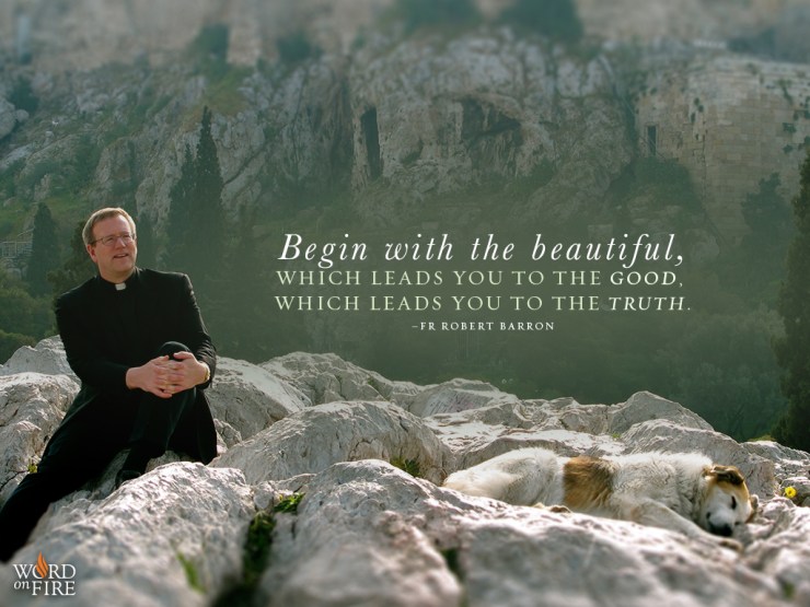 Fun New Pictures from Fr. Barron’s Ministry – Swimming the Depths